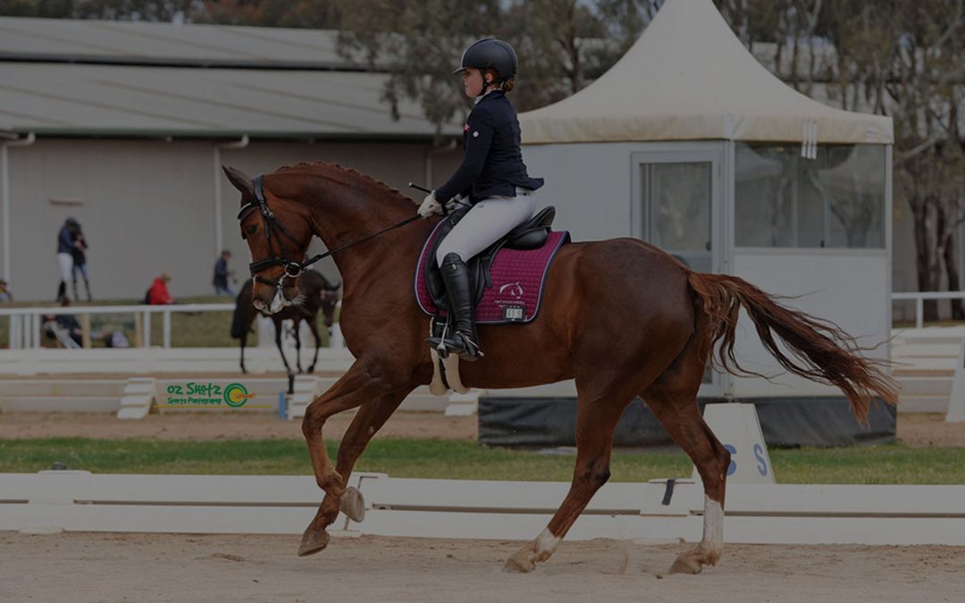 Pony Parties About Us- Pony Hire | Brisbane | Magical Ponies