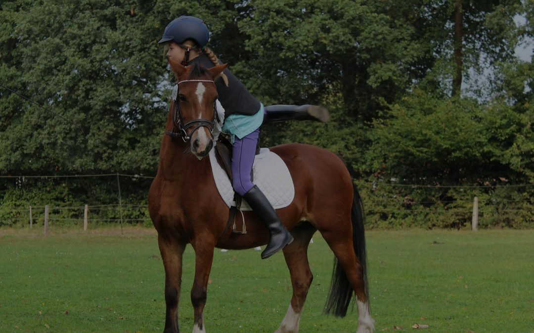 Pony Parties About Us- Pony Hire | Brisbane | Magical Ponies